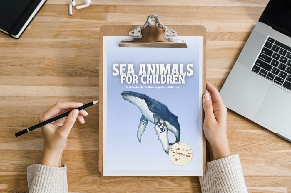Sea Animals Workbook-Digital Download – Enchanted Ink